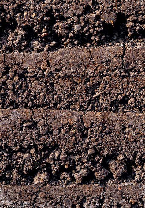 Soil Lab By Actar Publishers Issuu