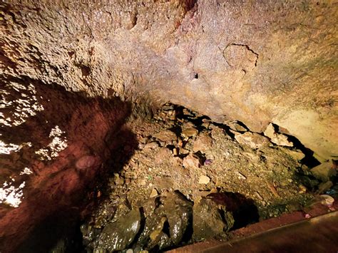 【思ったより短い？】なんと江ノ島への抜け穴も「鳴沢氷穴」 旅するn Life