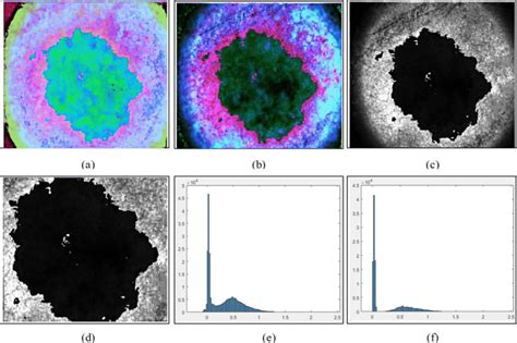 Xor Operation Effects On Sample Images A Enhanced Image B Xor