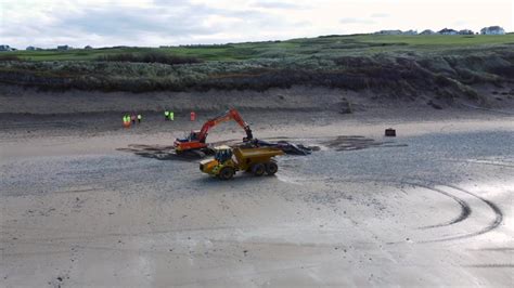 Carcass Of Stranded Whale Removed From Fistral Beach In Cornwall Bbc News