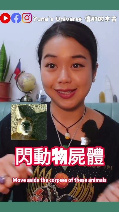 澳洲打工度假真的安全嗎？ 澳打 澳洲打工度假 打工度假 車禍 搶劫 道路安全 Whv Aus Youtube