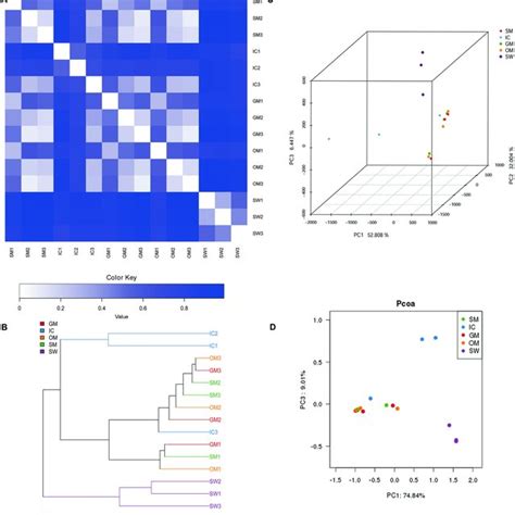 Heatmap Of Relative Abundance Of Community At Specie Level Different