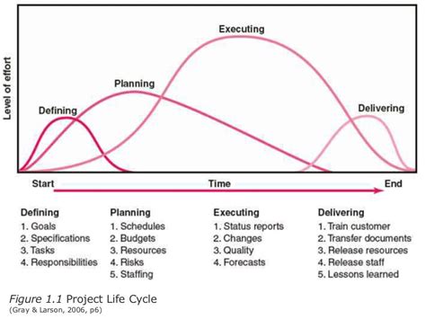 Figure Project Life Cycle