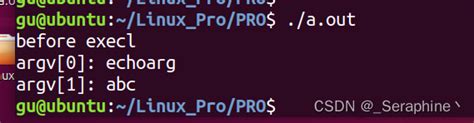 linux进程——exec族函数 linux exec csdn博客