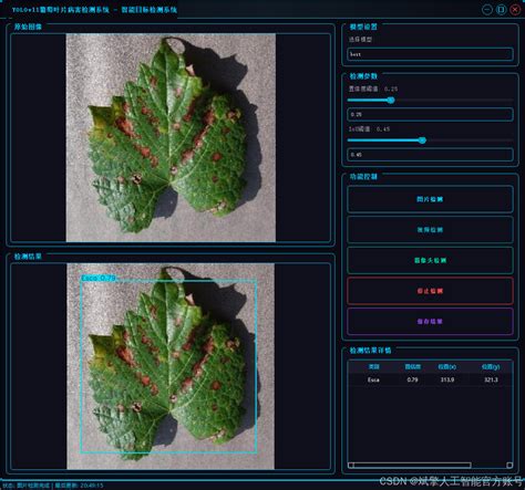 基于深度学习yolov11的葡萄叶病害识别检测系统（yolov11yolo数据集ui界面登录注册界面python项目源码模型） Csdn博客