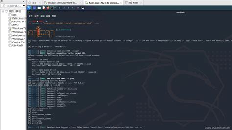 Sql Map测试报告sqlmap漏扫报告 Csdn博客