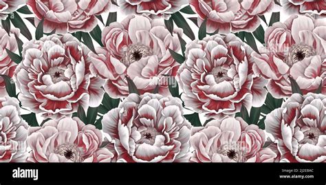 Beautiful Peonies Buds Leaves Floral Seamless Pattern Vintage