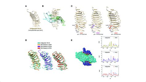 Computer Based Molecular Docking And Molecular Dynamics Analysis Of