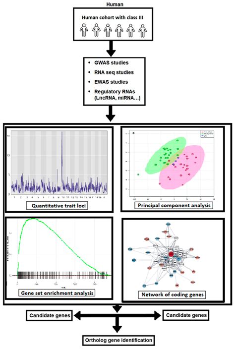 The Workflow Of The Generation Of System Genetic Datasets Of Cellular