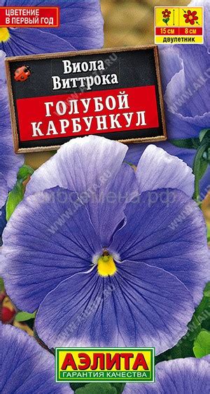 ЦВЕТЫ ДВУЛЕТНИЕ — Семена для Сибири