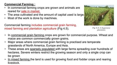 Cbse Class 8 Geography Ch 4 Agriculture Ppt