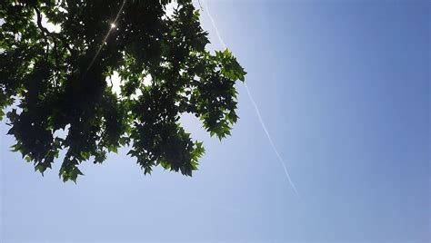 Canicule la Dordogne placée en alerte à partir de vendredi ici