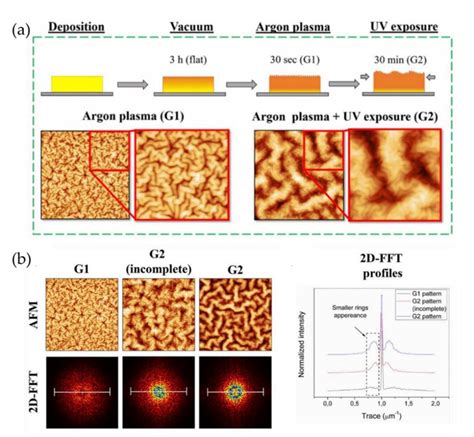 A Schematic Illustration Of The Methodology Used To Fabricate Download Scientific Diagram