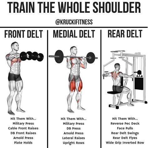 The Week Dumbbell Workout Plan Part Shoulders GymGuider Deltoid Workout Dumbbell