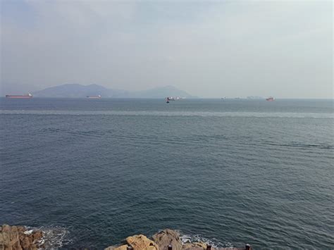 바다에 그랜드라인 생겼다 치지직 에펨코리아