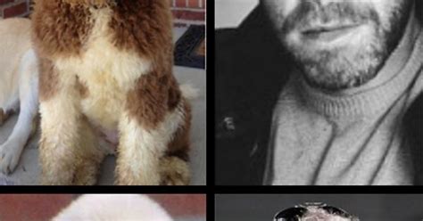 Ron Perlman Then And Now Imgur