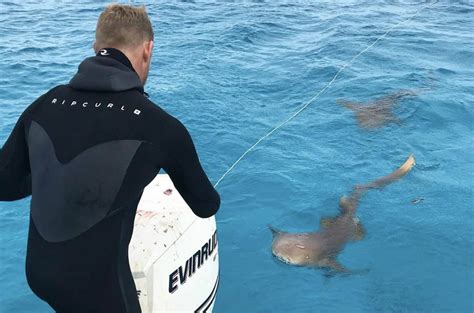Mick Fanning Wants To Save Sharks Tracks Magazine The Surfers