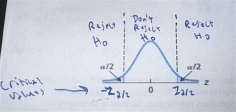 Stat Chapter 8 Flashcards Quizlet