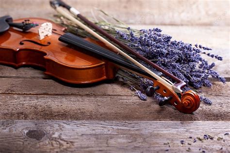 바이올린과 라벤더가 있는 빈티지 작곡 사진 배경 및 무료 다운로드를위한 그림 Pngtree