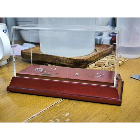 二手 壓克力 展示盒 展示櫃 包裝盒 公仔收納盒 立體擺件盒 F尺寸標示如圖 雙圓圈ss Iopen Mall