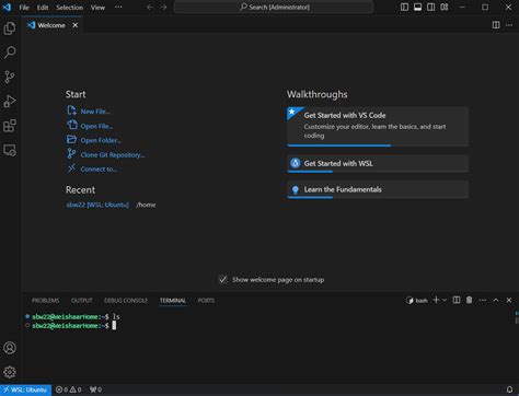 Why Is Nothing Showing In The Terminal Rvscode