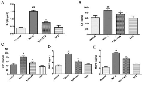 Tas Suppressed The Tnf α Triggered Inflammatory Response In Huvecs