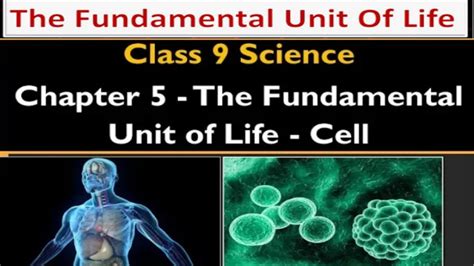 Fundamental Unit Of Life Class 9 Science Chapter 5 Biology CBSE NCERT