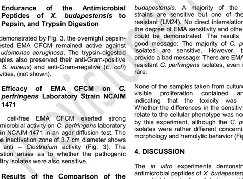 Comparison Of The Antimicrobial Potential Of Different Xenorhabdus