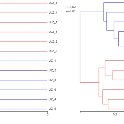 unweighted pair group method with arithmetic mean upgma dendrogram of