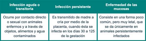 Contrarresta El Virus De La Diarrea En Bovinos