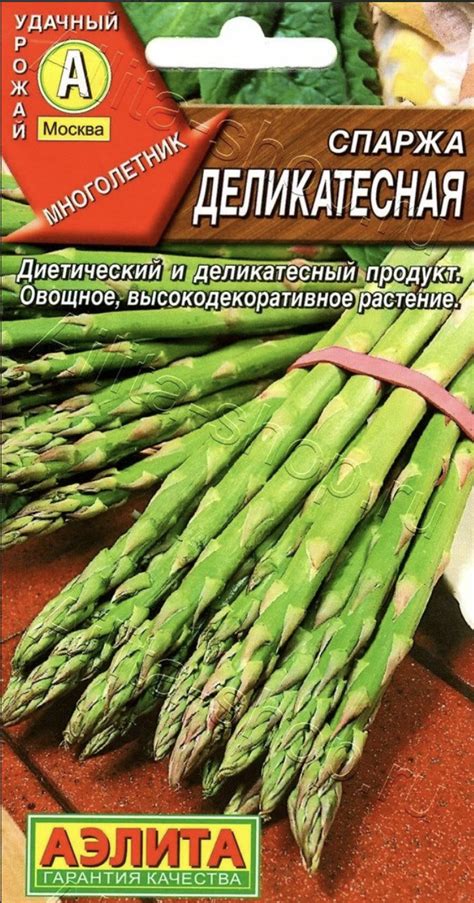 Спаржа деликатесная Аэлита - «Как я решила вырастить спаржу на ...
