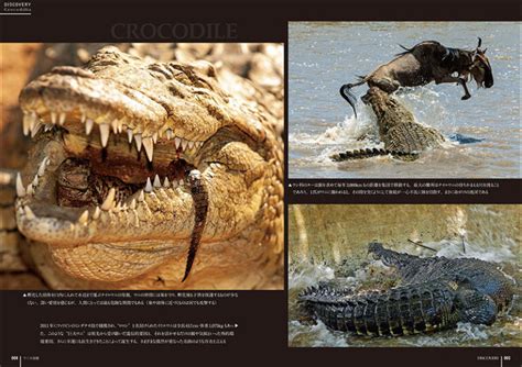 ワニ大図鑑 株式会社誠文堂新光社