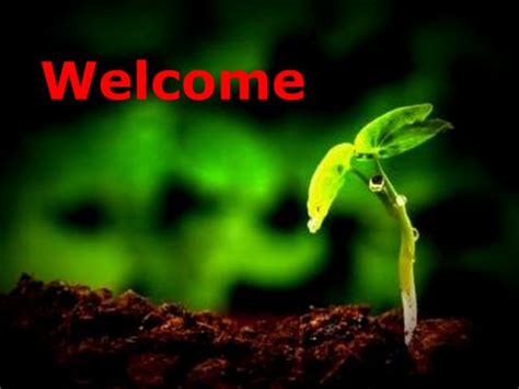 Improving Photosynthesis By Chloroplast Engineering Pptx