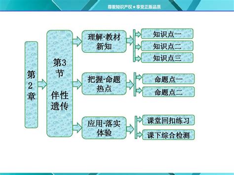 第1部分 第2章 第3节 伴性遗传word文档在线阅读与下载无忧文档
