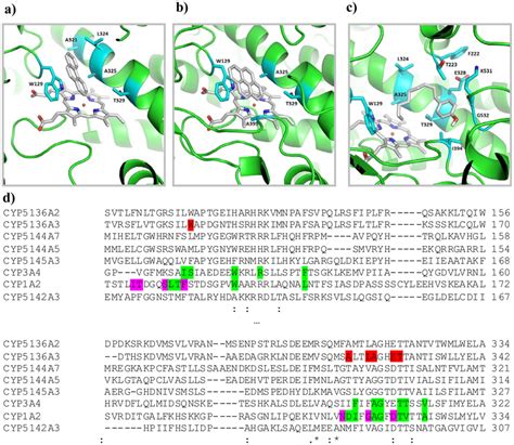 Putative Binding Modes Of The Xenobiotic Substrates Obtained From Download Scientific Diagram