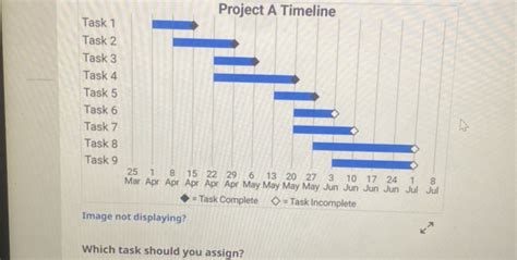 Project A Timeline Image Not Displaying Which StudyX