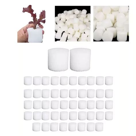 Cultivez Des Plantes Nimporte O Avec Plateau De Culture D Ponges Hydroponiq Eur 1248