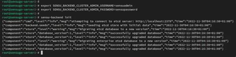 How To Install Sensu Monitoring Solution On Ubuntu 22 04