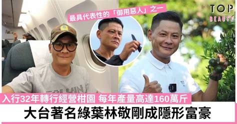 TVB御用惡人林敬剛北上做老闆 眼光獨到擁200畝柑園收入倍增