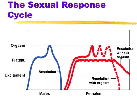 Myers PSYCHOLOGY Th Ed Ppt Download