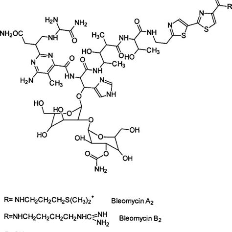 Structures Of Bleomycin Components In The Pharmaceutical Sample Used