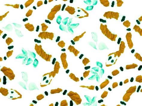 30 000 Leapord Pattern Pictures