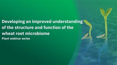 Developing An Improved Understanding Of The Structure And Function Of