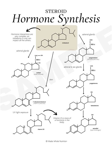 Hormone Health 2 Handout Bundle — Functional Health Research