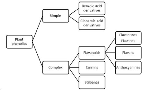 Classifications Of The Plant Phenols Based On Their Structure Broadly