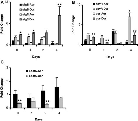 Intracellular Mtb Gene Expression Total Mtb RNA Was Extracted From Download Scientific Diagram