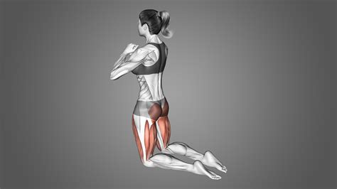 Kneeling Hip Thrusts Muscles Worked And More Inspire Us