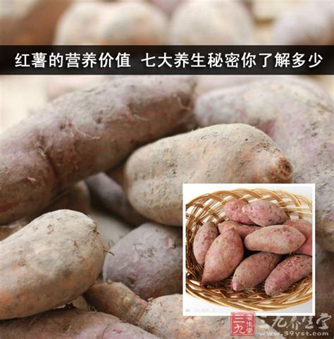 红署营养价值 营养价值 香菇营养价值 第2页 大山谷图库