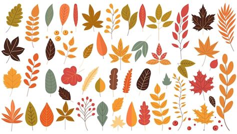 Premium Vector Set Of Autumn Leaves Vector Collection