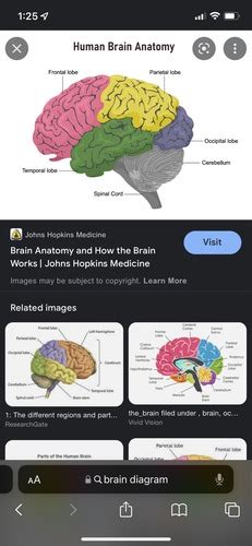 Intro To Psych Test Flashcards Quizlet